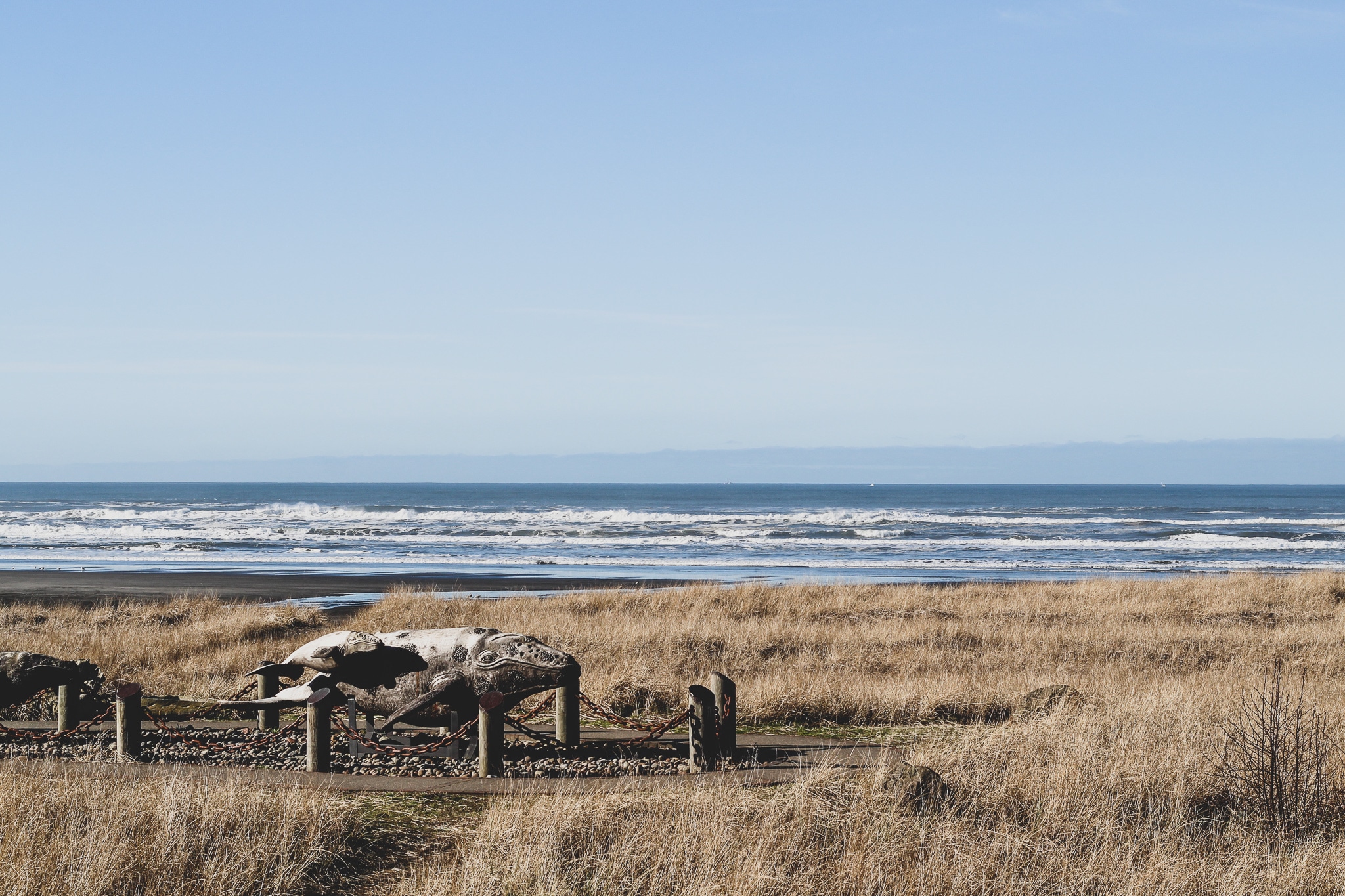 Sustainability at Adrift | Washington Eco-Friendly Hotels