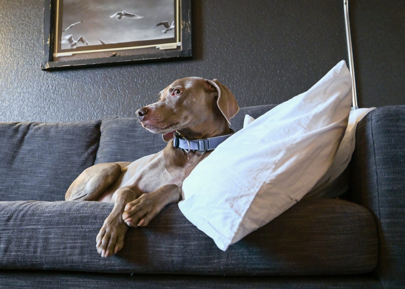 Hotel Rooms | Hotels In Long Beach Washington | Adrift Hotel