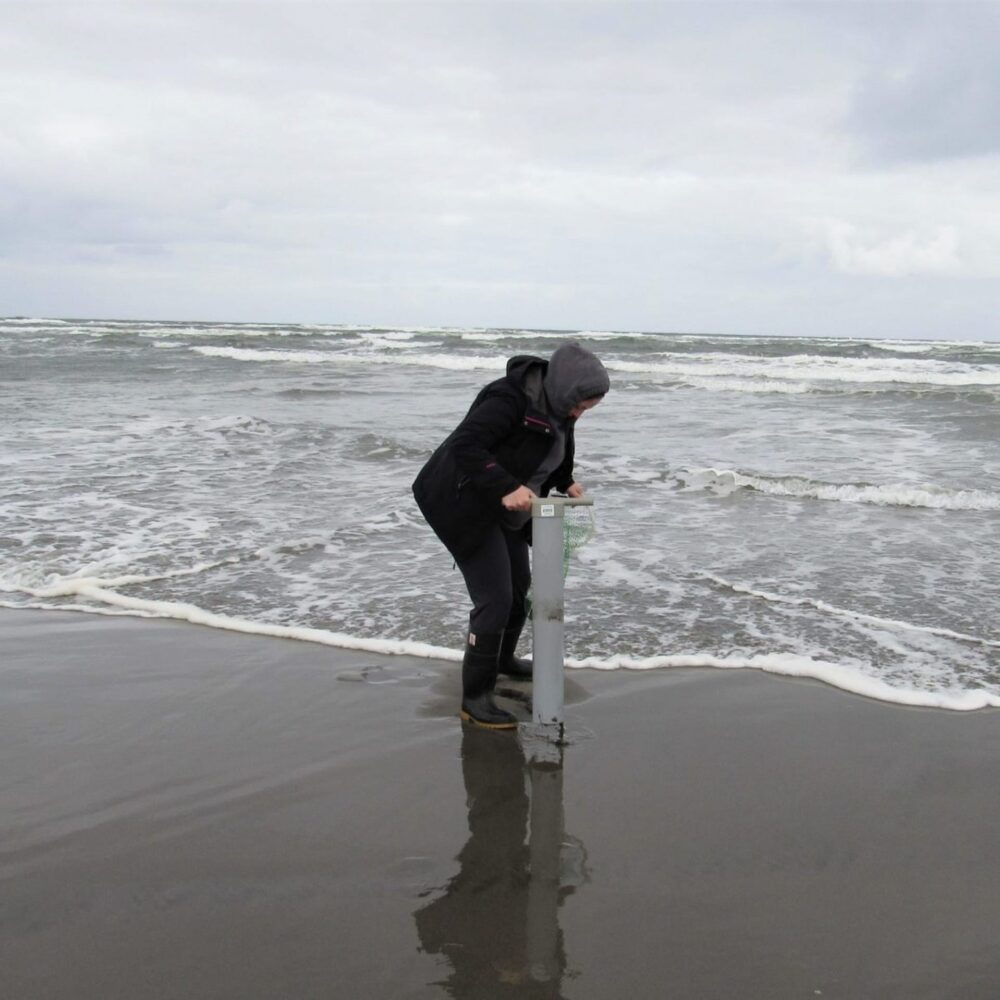 Digging Clams on Washington Beaches | Adrift Hospitality