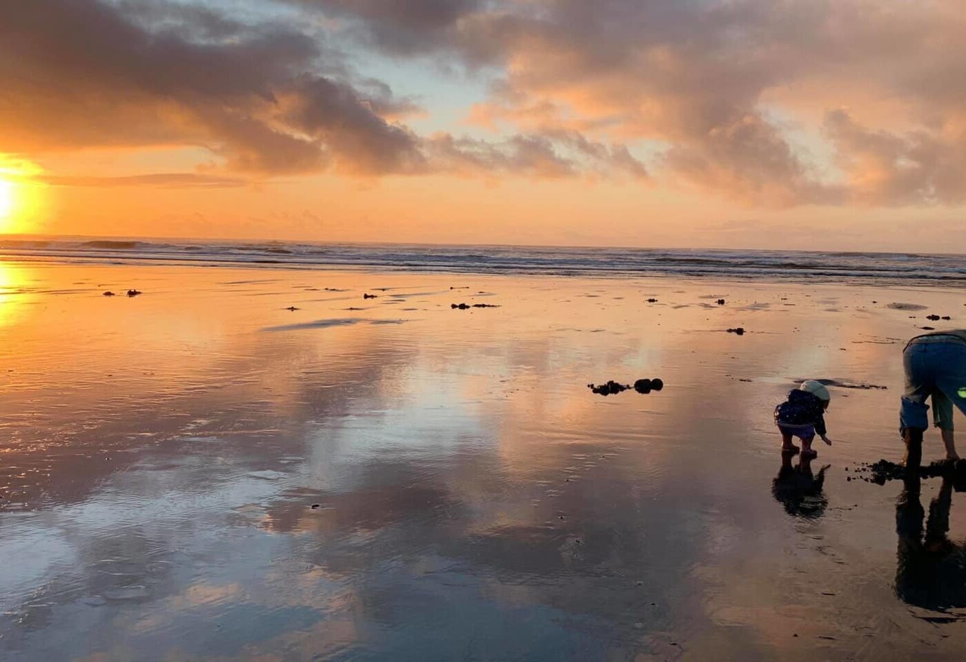 Digging Clams on Washington Beaches | Adrift Hospitality