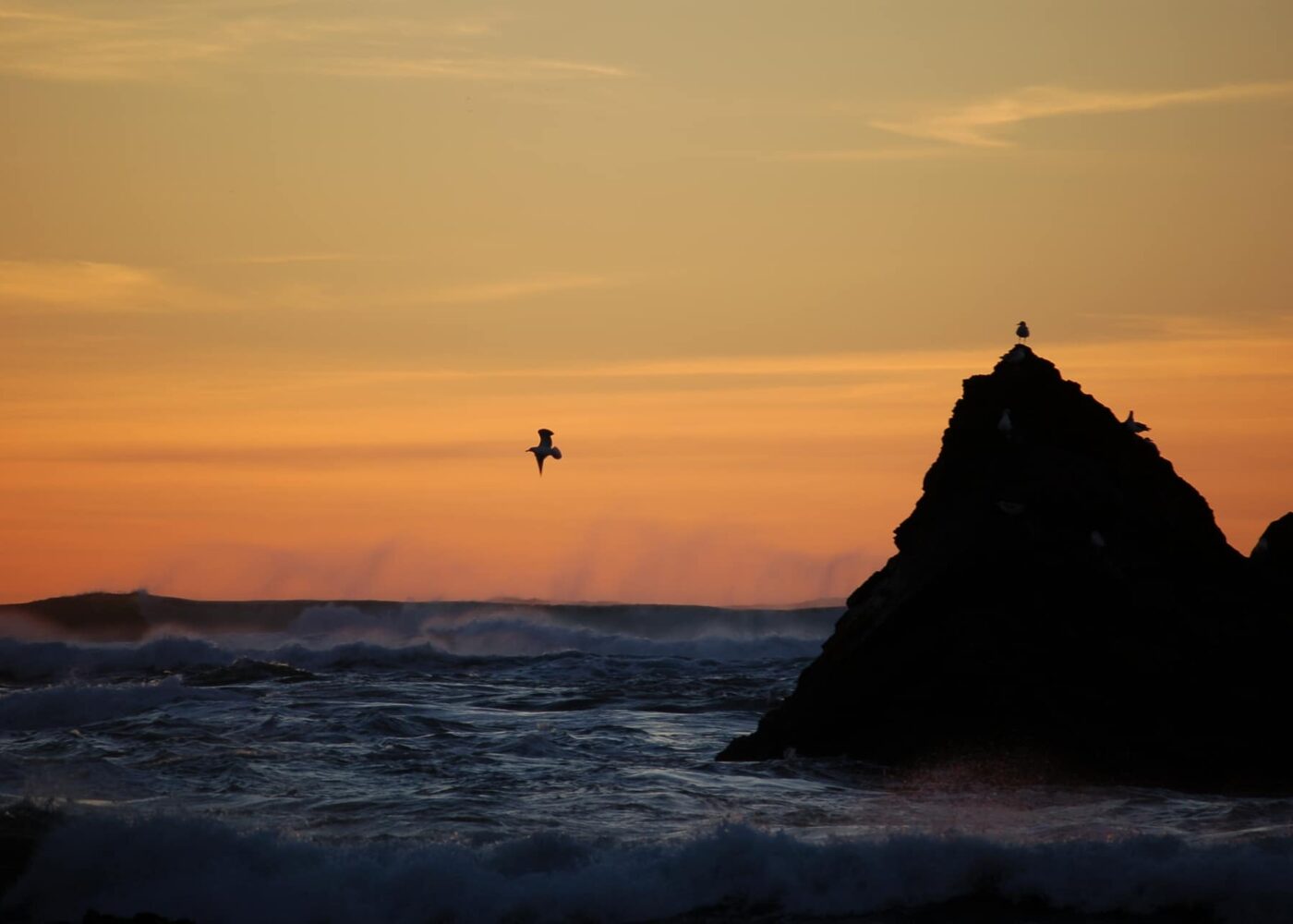 Things To Do North Oregon Coast | Cannon Beach Activities