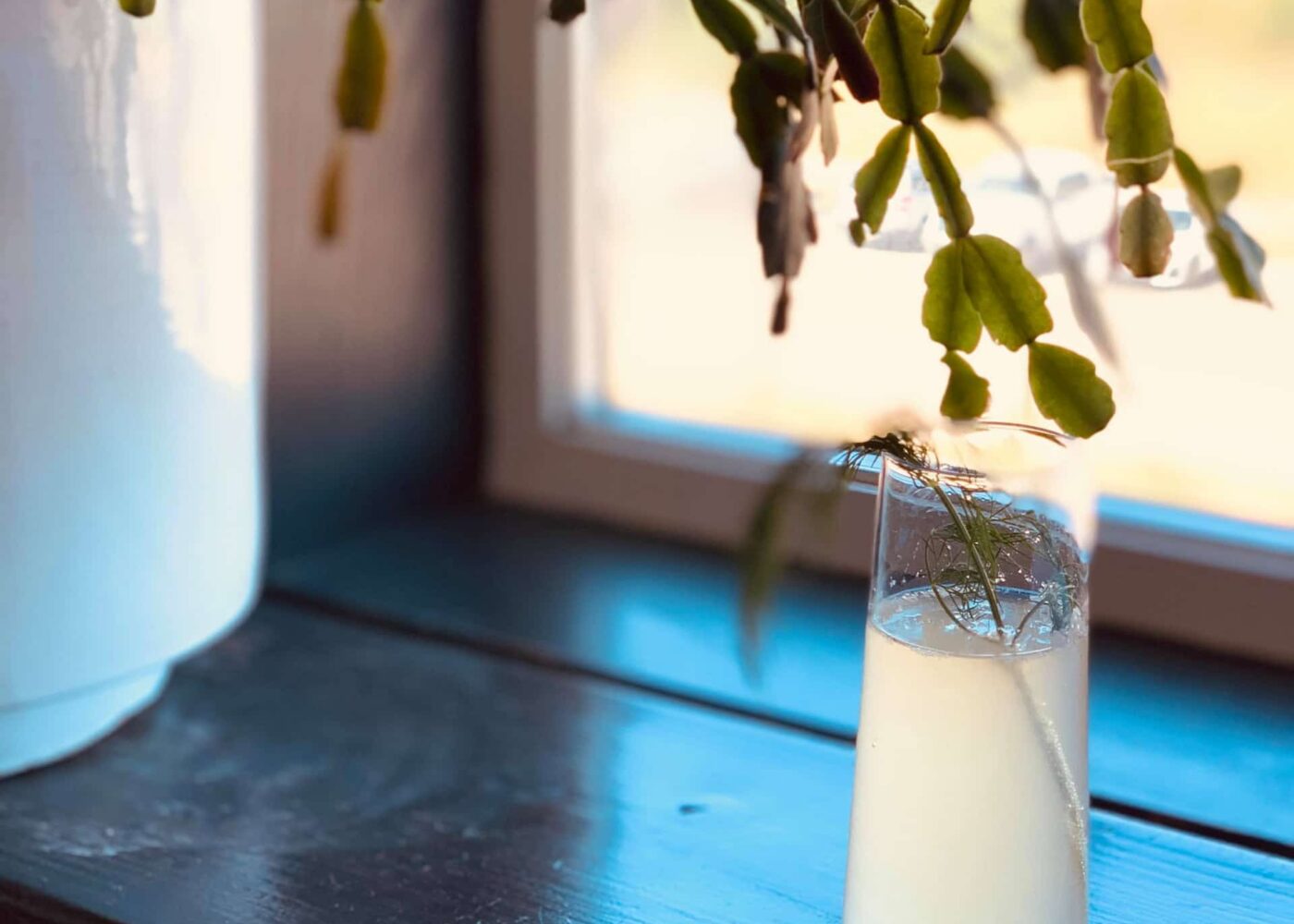 Adrift Distillers' Summer Cocktail Guide | Adrift Hospitality